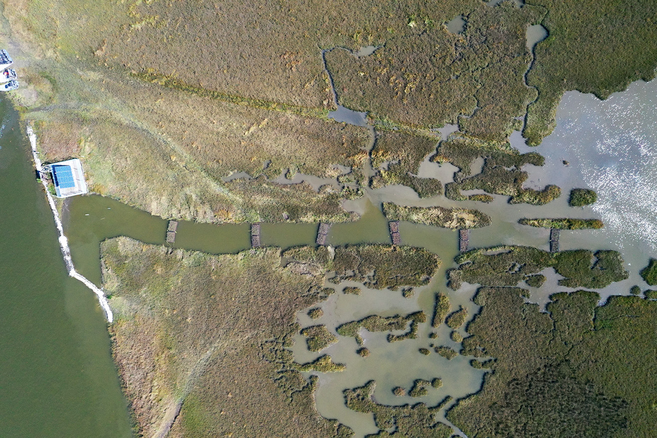 Danos Completes Nature-Based Coastal Restoration Projects - Natrx ...