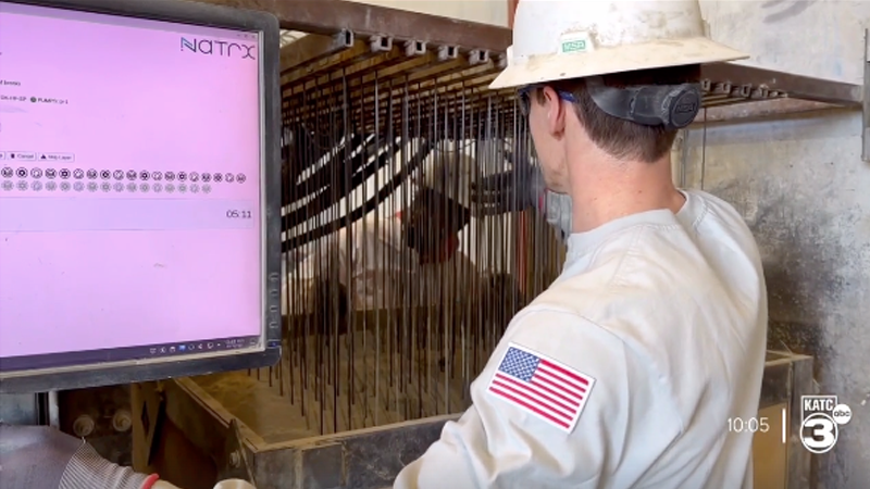 Natrx Nature-Based Coastal Resilience Solutions